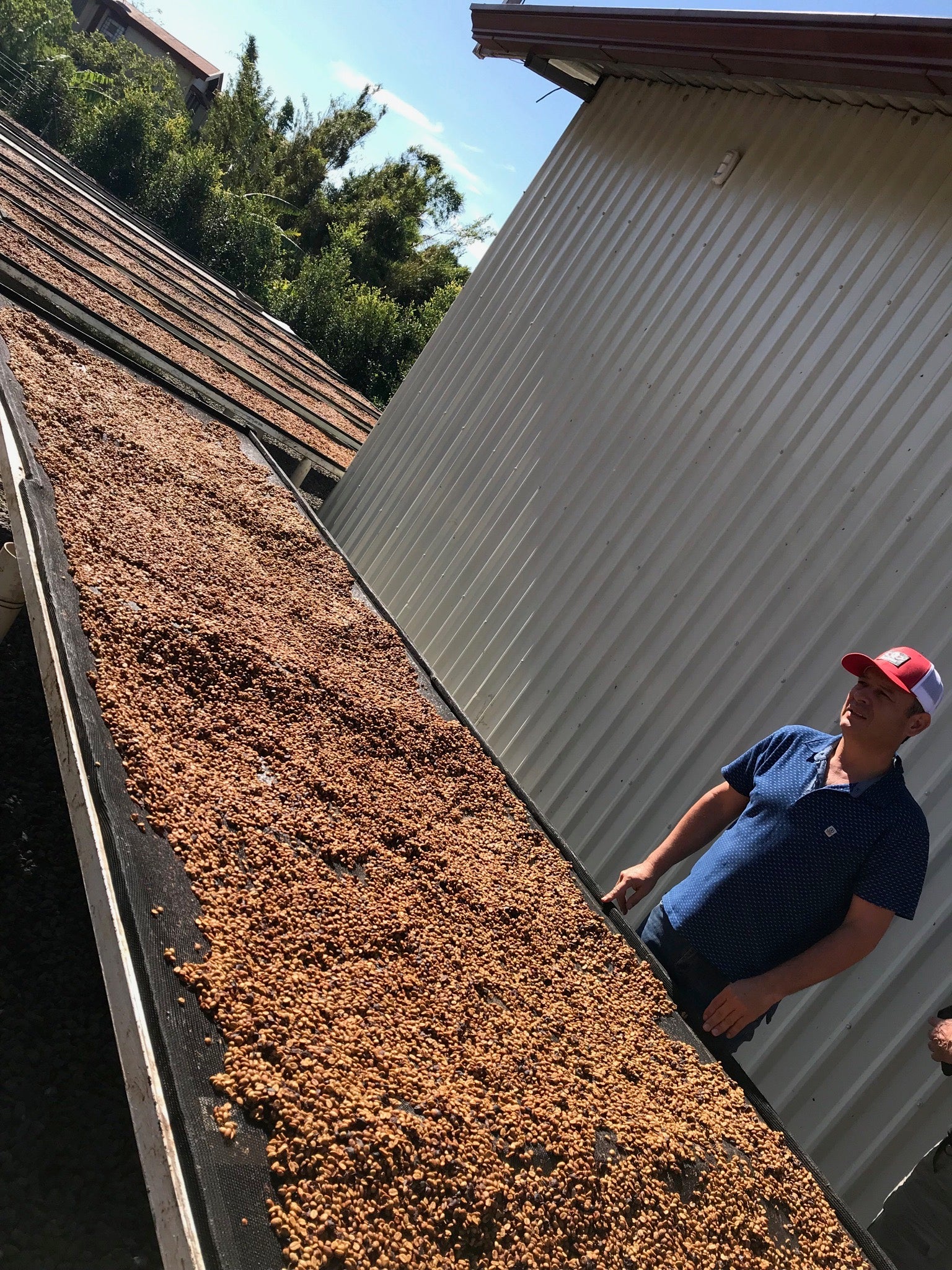 Journey with Jackson to Costa Rica: A New Bean – True Coffee Roasters Shop