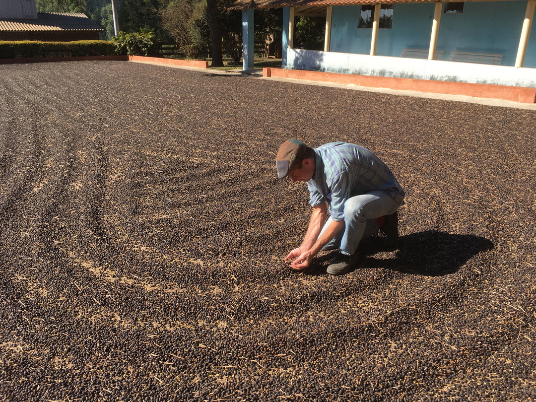 True Coffee Roasters Shop