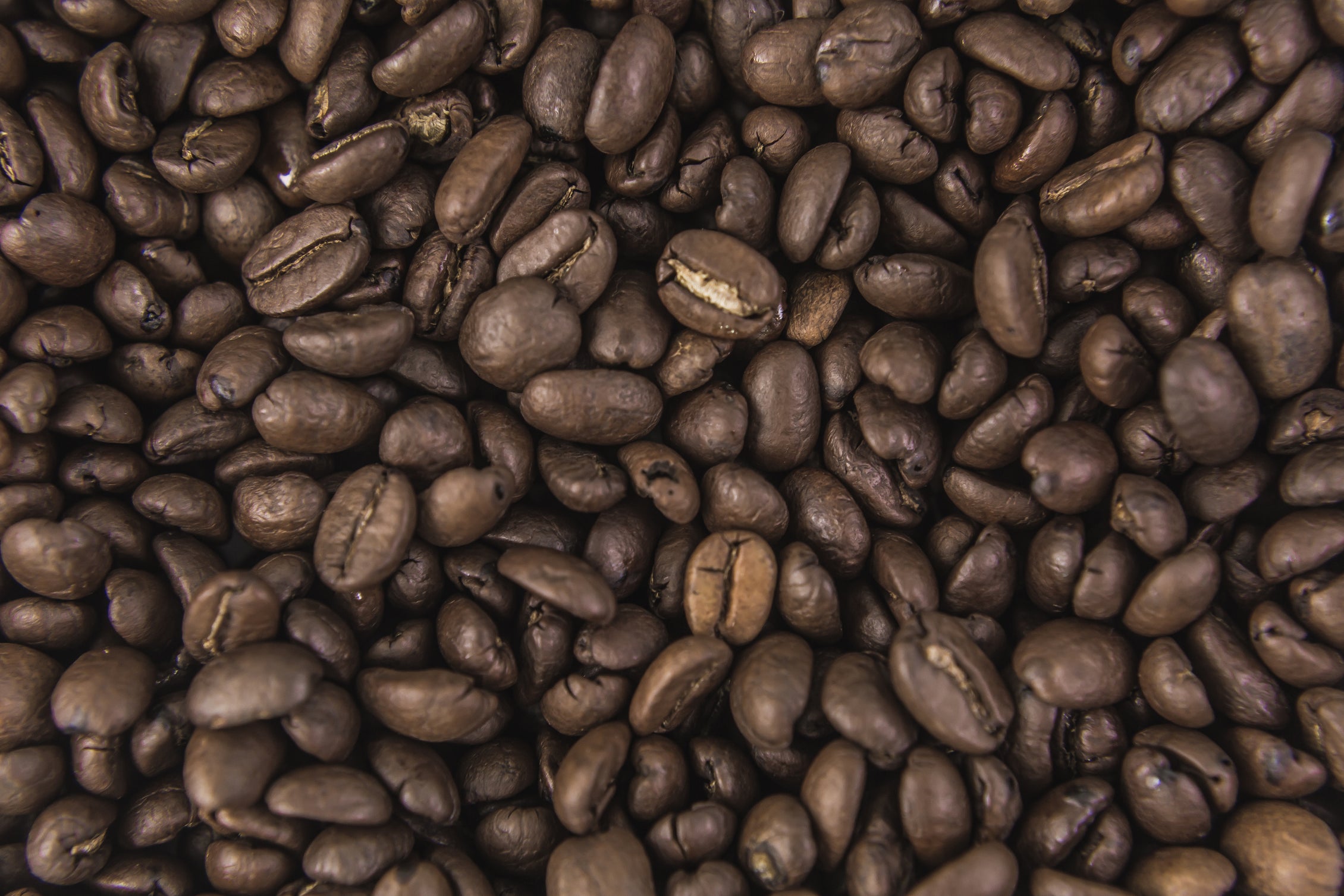 True Coffee Roasters Shop